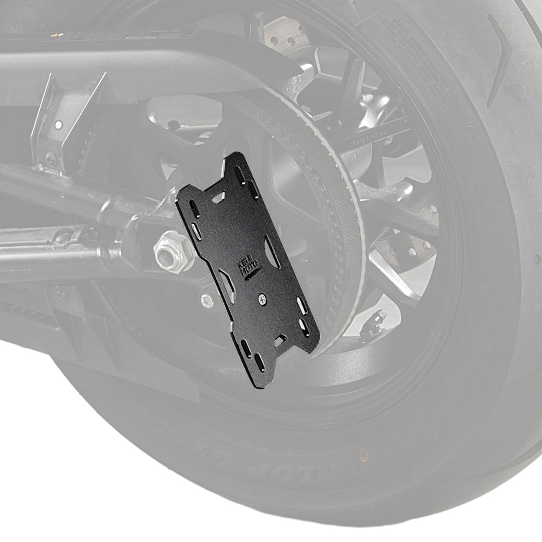 Motorcycle Side Mount License Plate Bracket and LED Light – Kemimoto