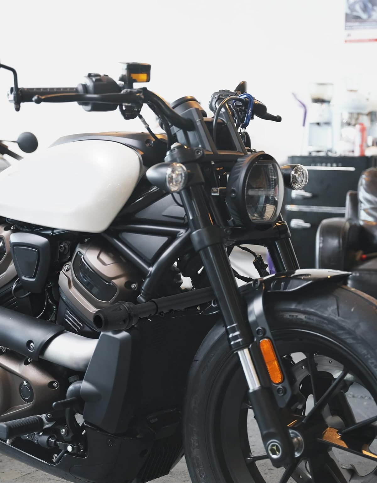 Sportster Engine Guard – Kemimoto